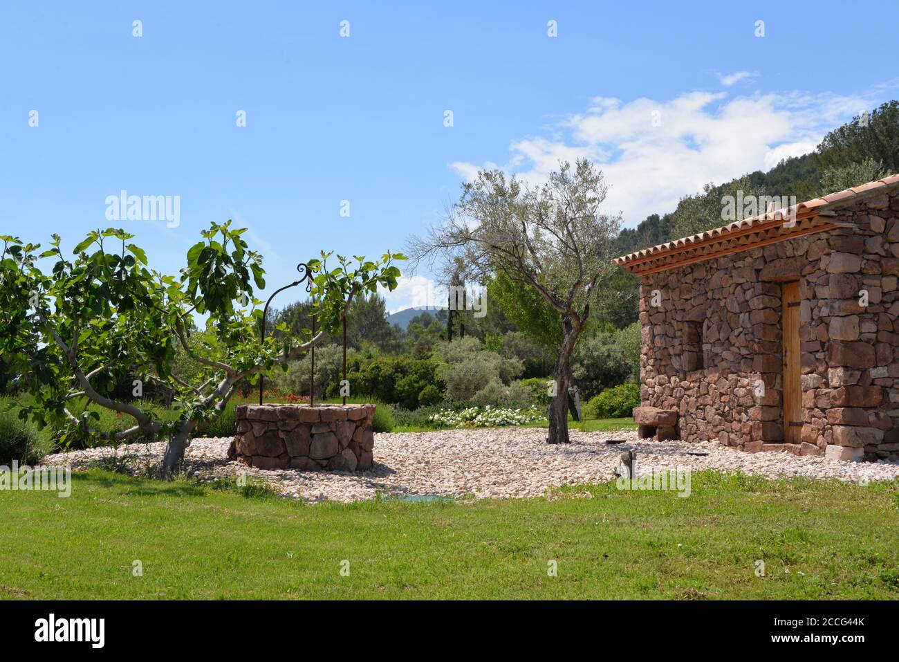 Shed with well and fig tree in Provence Stock Photo - Alamy