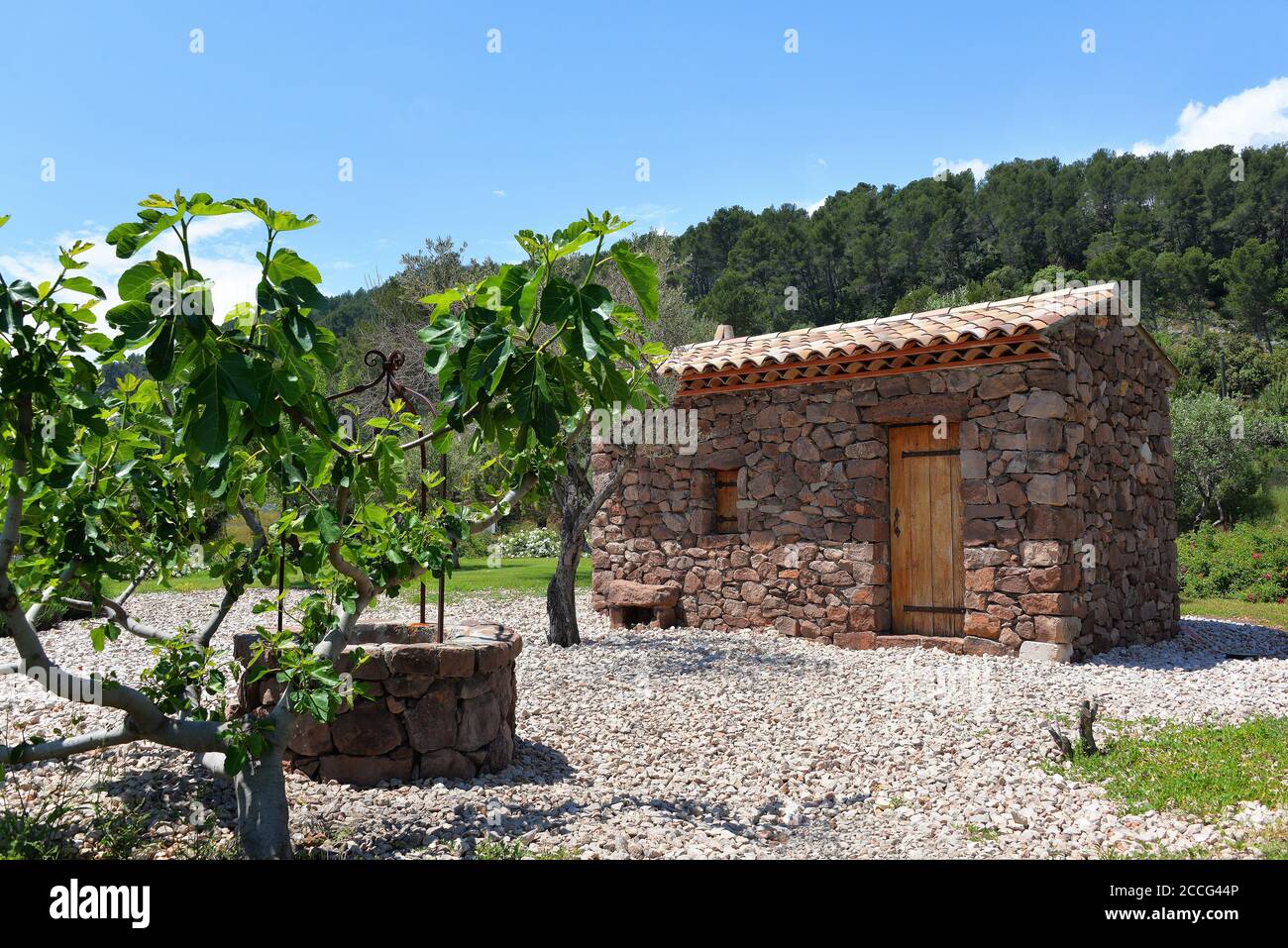 Shed with well and fig tree in Provence Stock Photo - Alamy