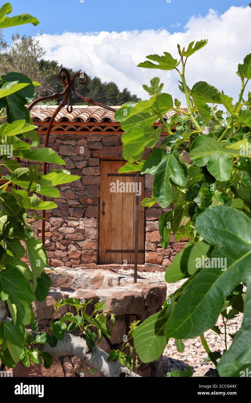 Fig well hi-res stock photography and images - Alamy