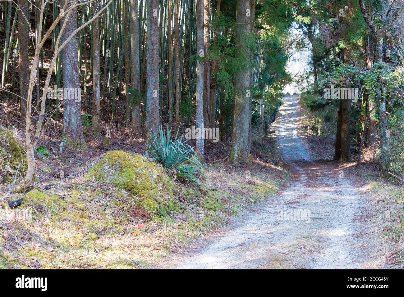 Beautiful scenic view from Between Nagiso Station and Tsumago-juku on ...