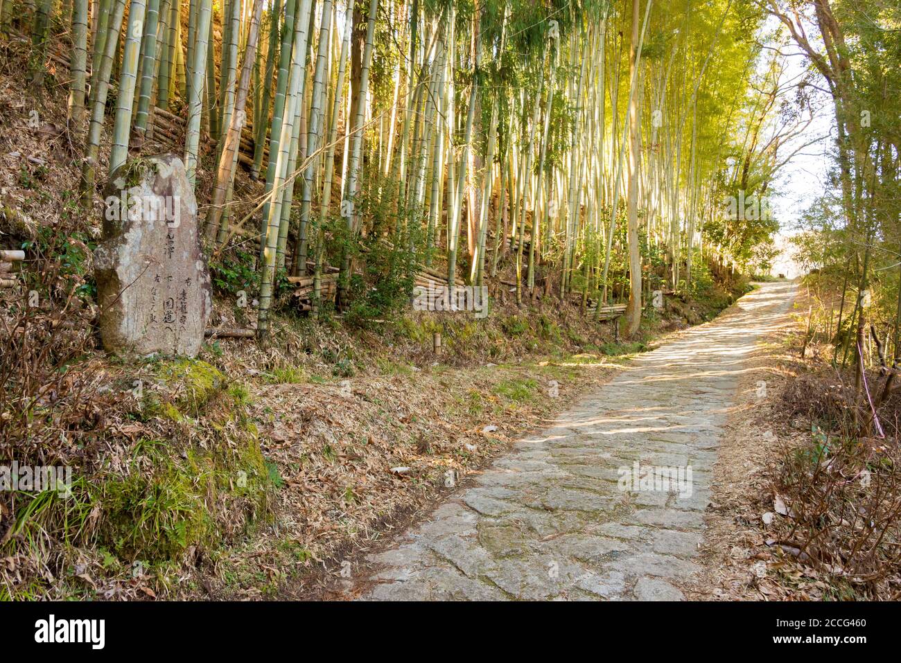 Beautiful scenic view from Between Nagiso Station and Tsumago-juku on ...