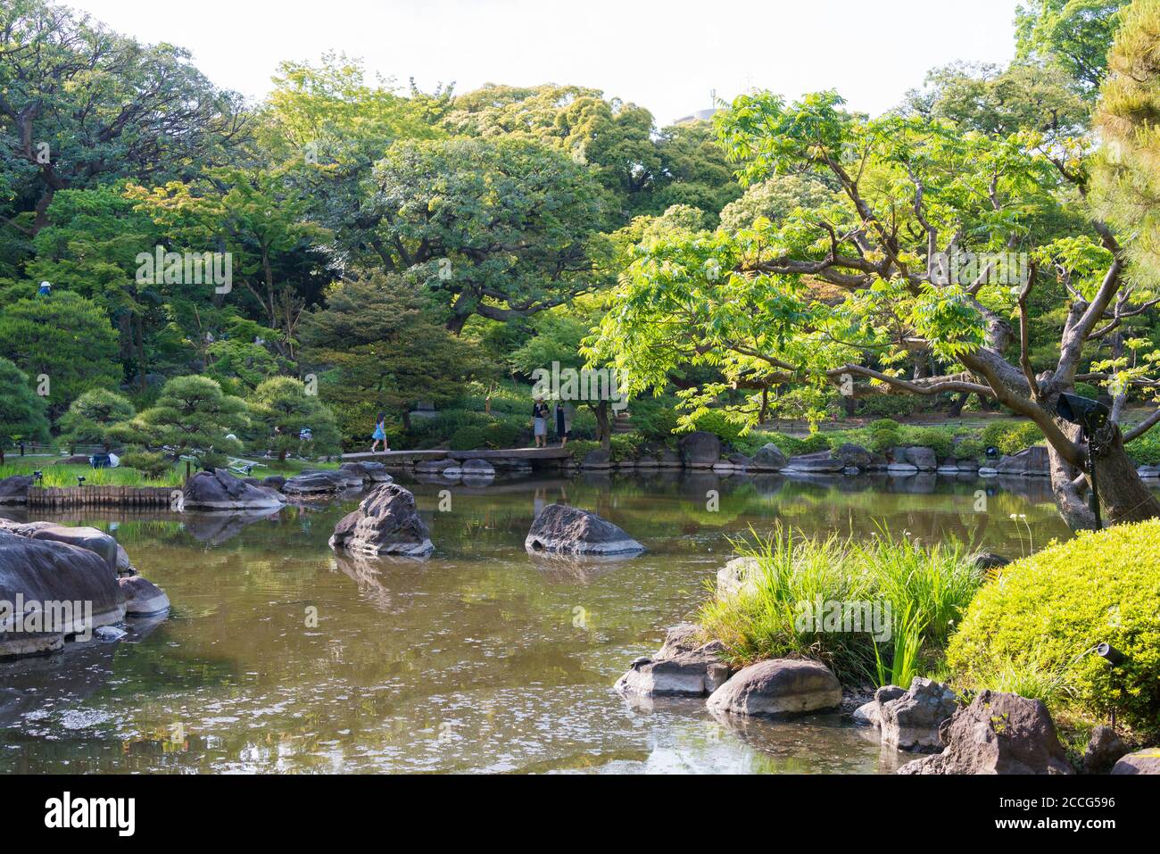 Tokyo, Japan - Kyu-Furukawa Gardens in Tokyo, Japan. The park includes an old western-style ...