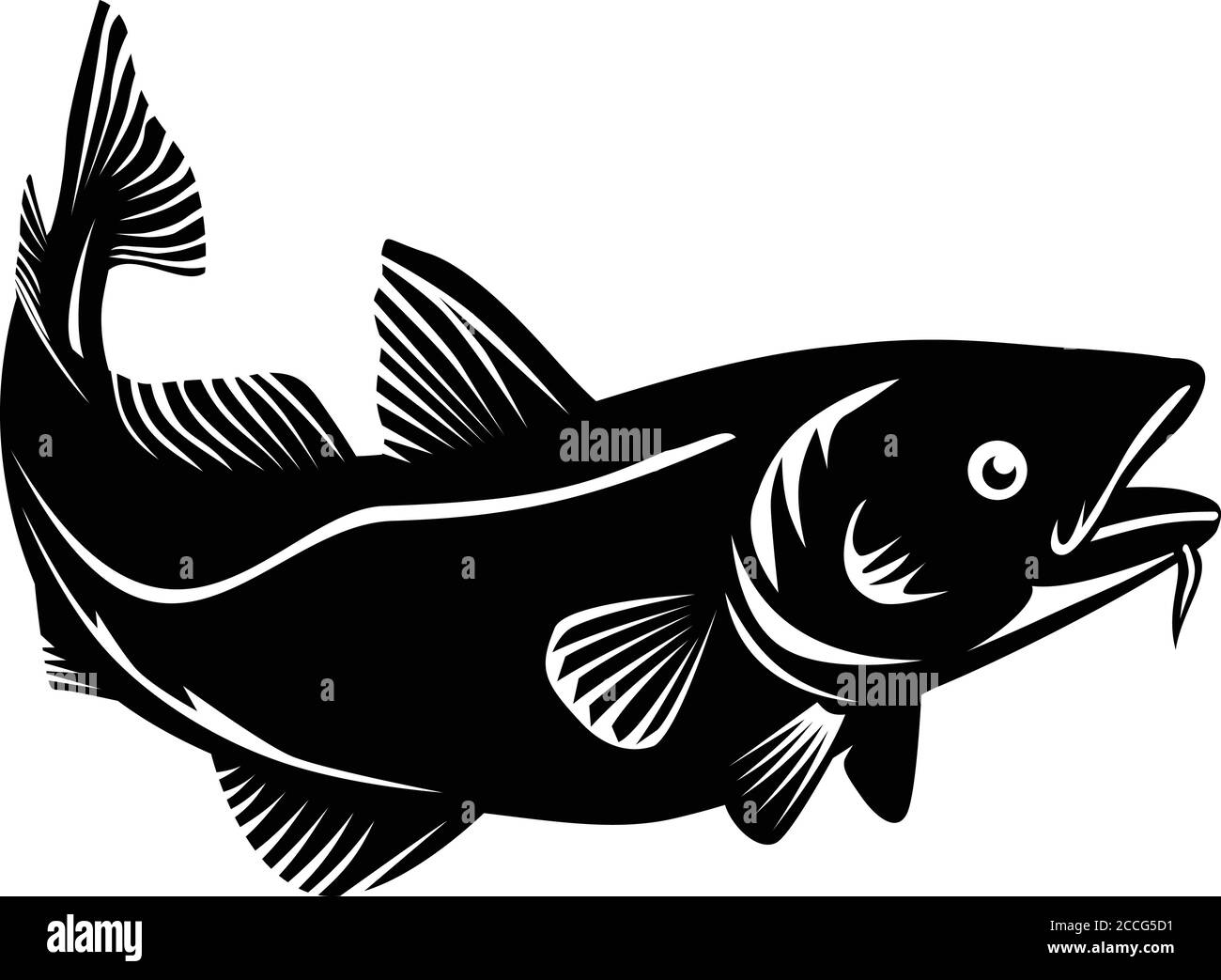 Woodcut style illustration of an Atlantic cod Gadus morhua, a ...