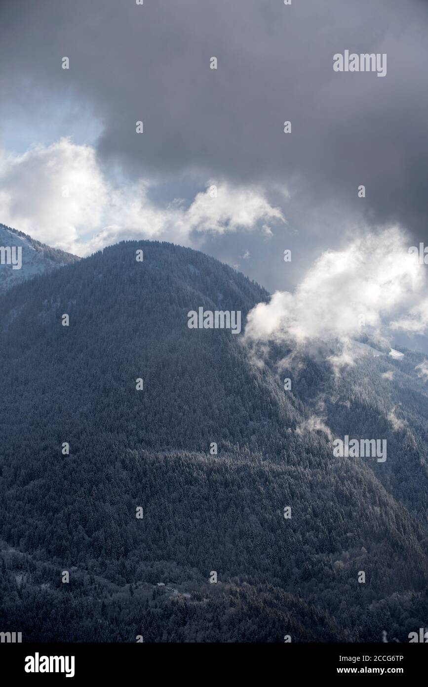 Snow comes hi-res stock photography and images - Alamy