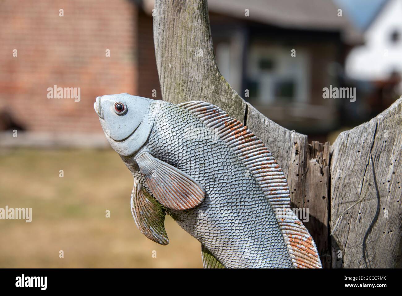 Fish shed museum hi-res stock photography and images - Alamy