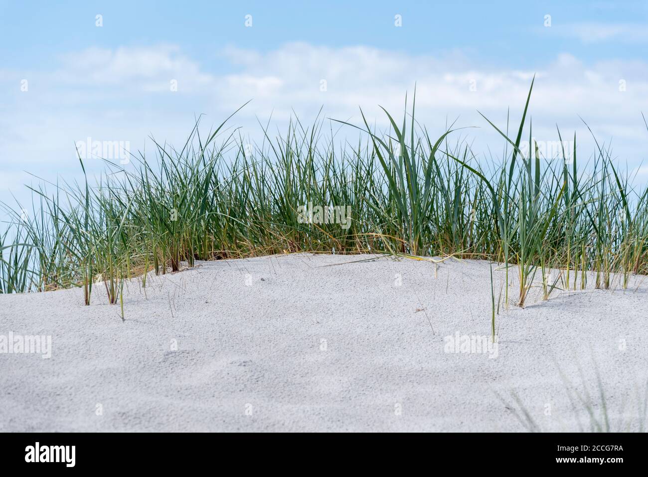 Maintaining grass hi-res stock photography and images - Alamy