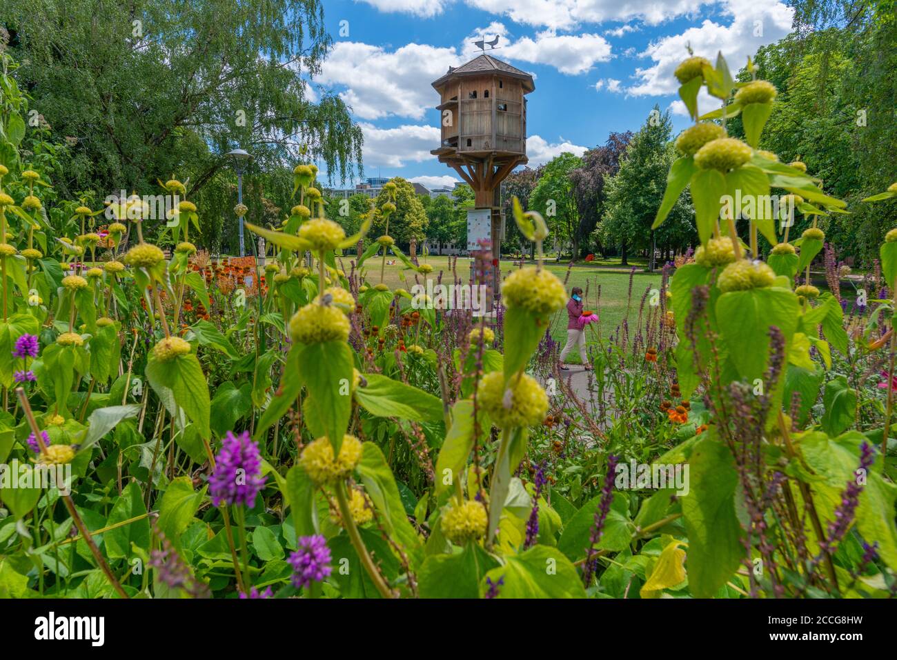 Stadtgarten hi-res stock photography and images - Alamy