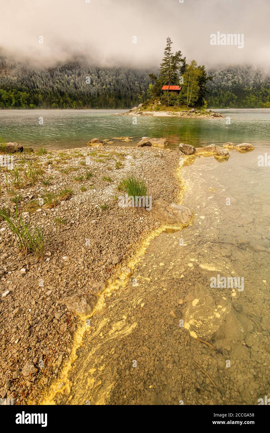 Yellow pollen from coniferous trees drifts on the banks of the Eibsee ...