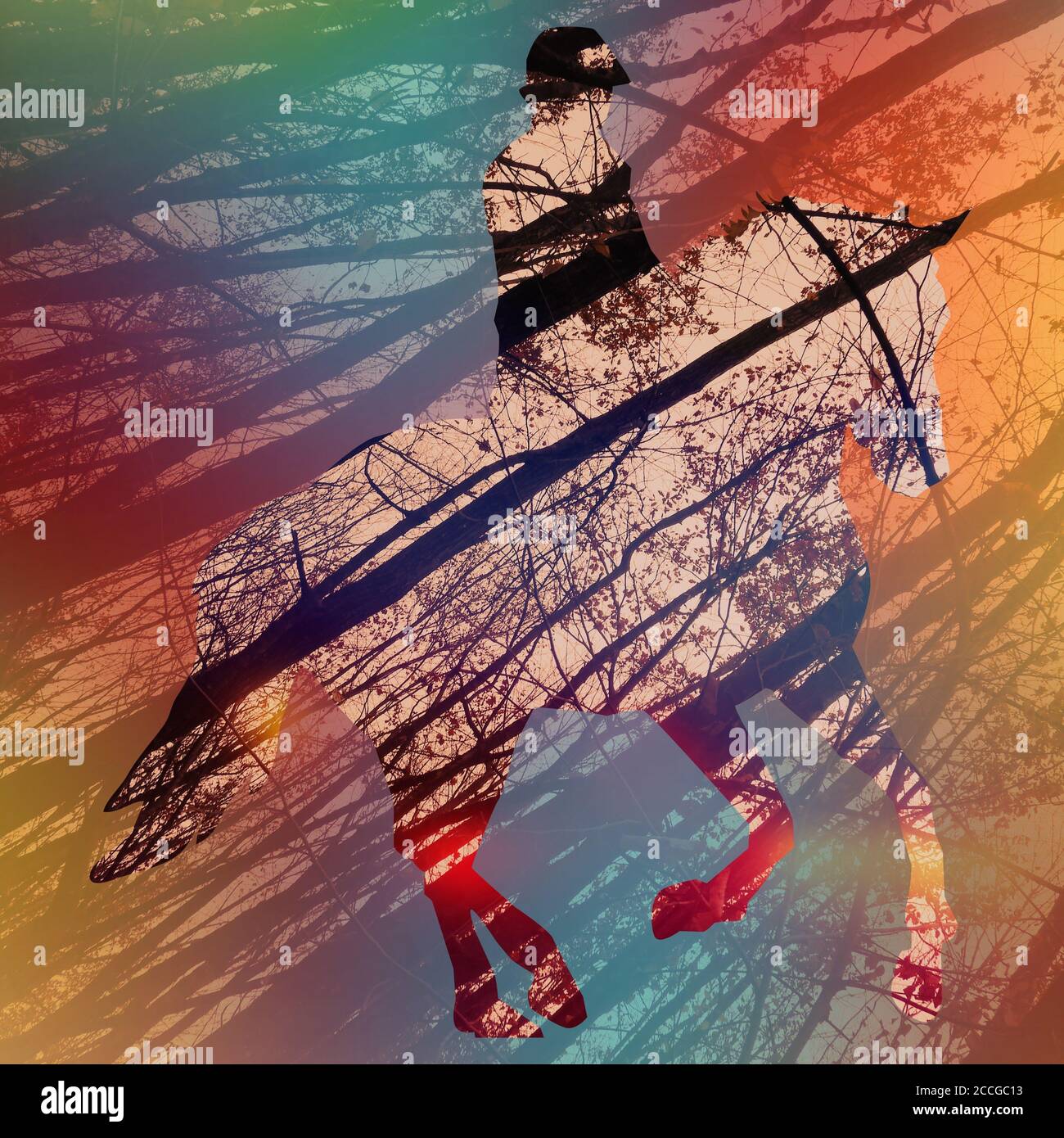 Low angle shot of tall dry trees with a colorful outline of an ...