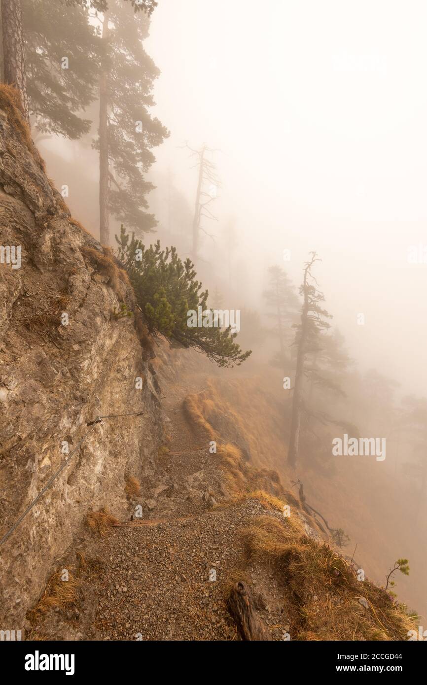 Wire rope safety hi-res stock photography and images - Alamy