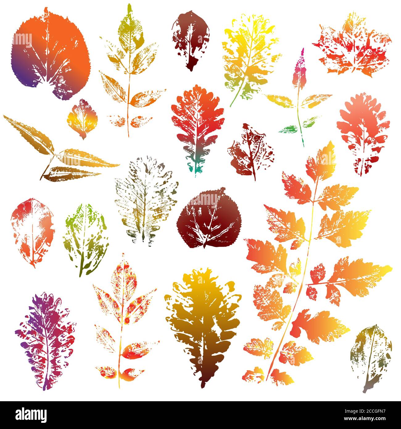 Colorful autumn leaves imprints set isolated on white background ...