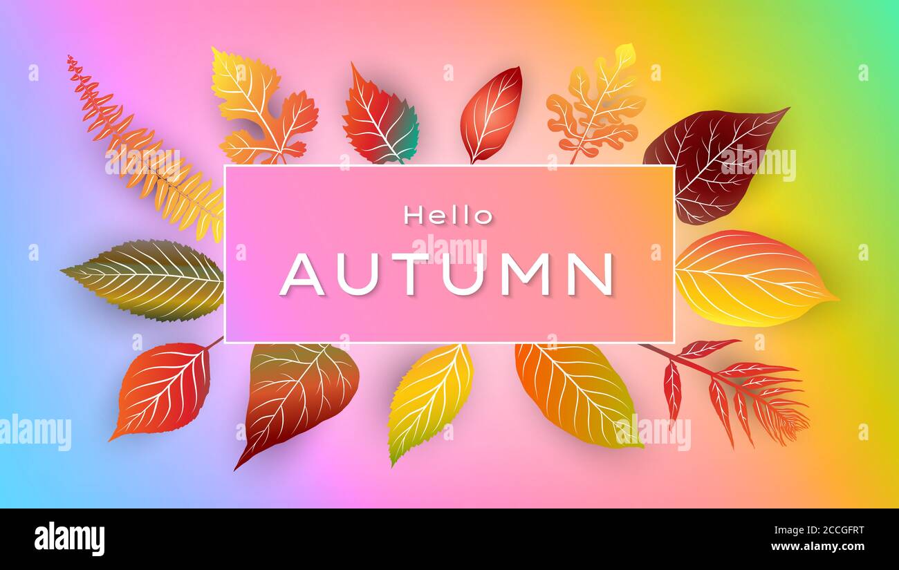 Colorful autumn leaves frame. Vector illustration Stock Vector Image ...