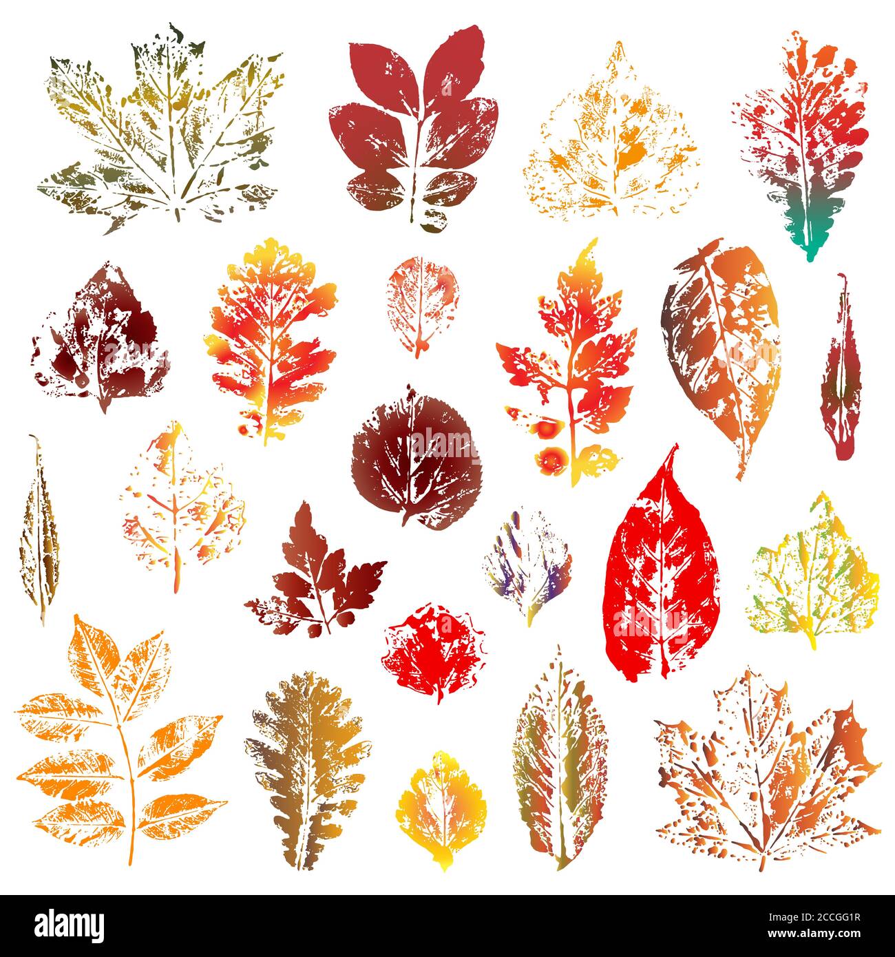 Colorful autumn leaves imprints set isolated on white background ...