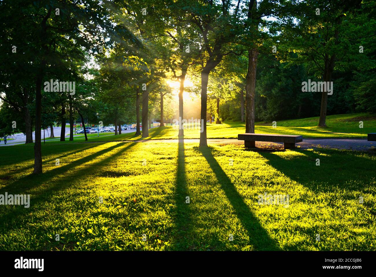 Royal mountain of montreal hi-res stock photography and images - Alamy