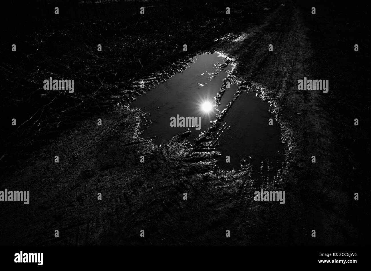 Sun reflection in puddle water Black and White Stock Photos & Images ...