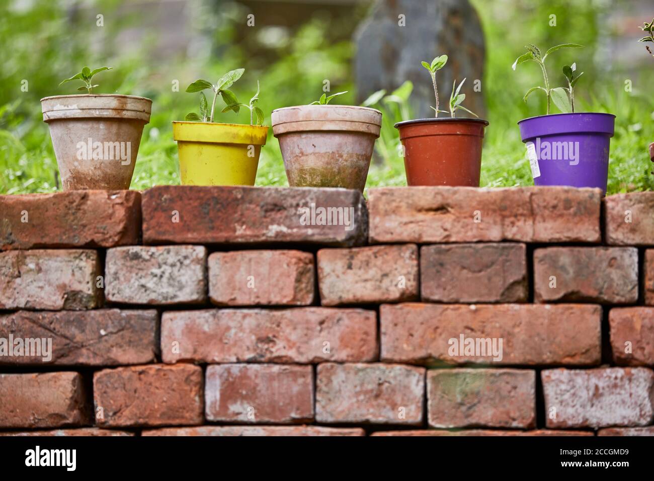 5 flower pots on brick wall Stock Photo - Alamy