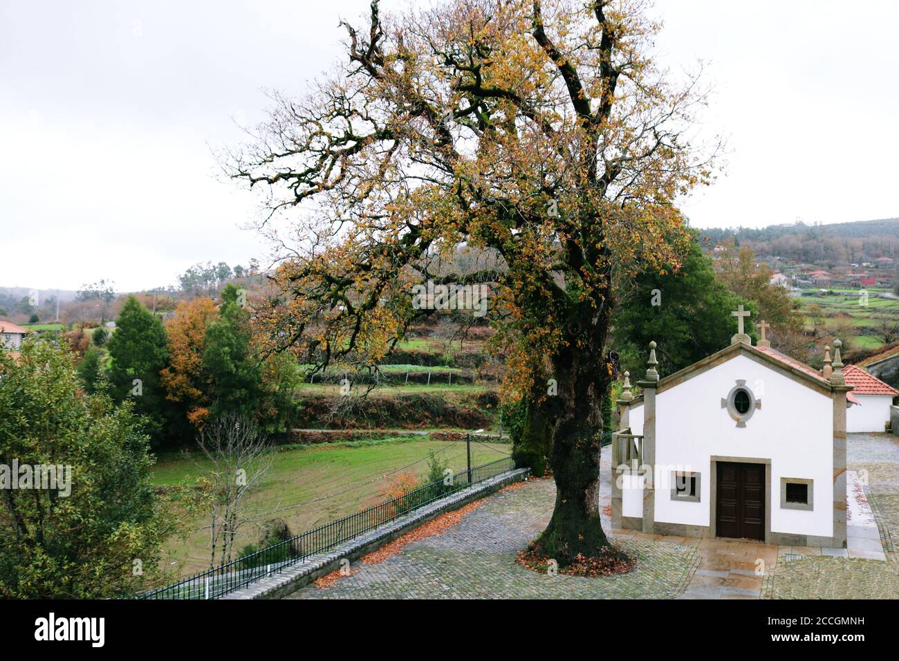In the middle of trees hi-res stock photography and images - Alamy