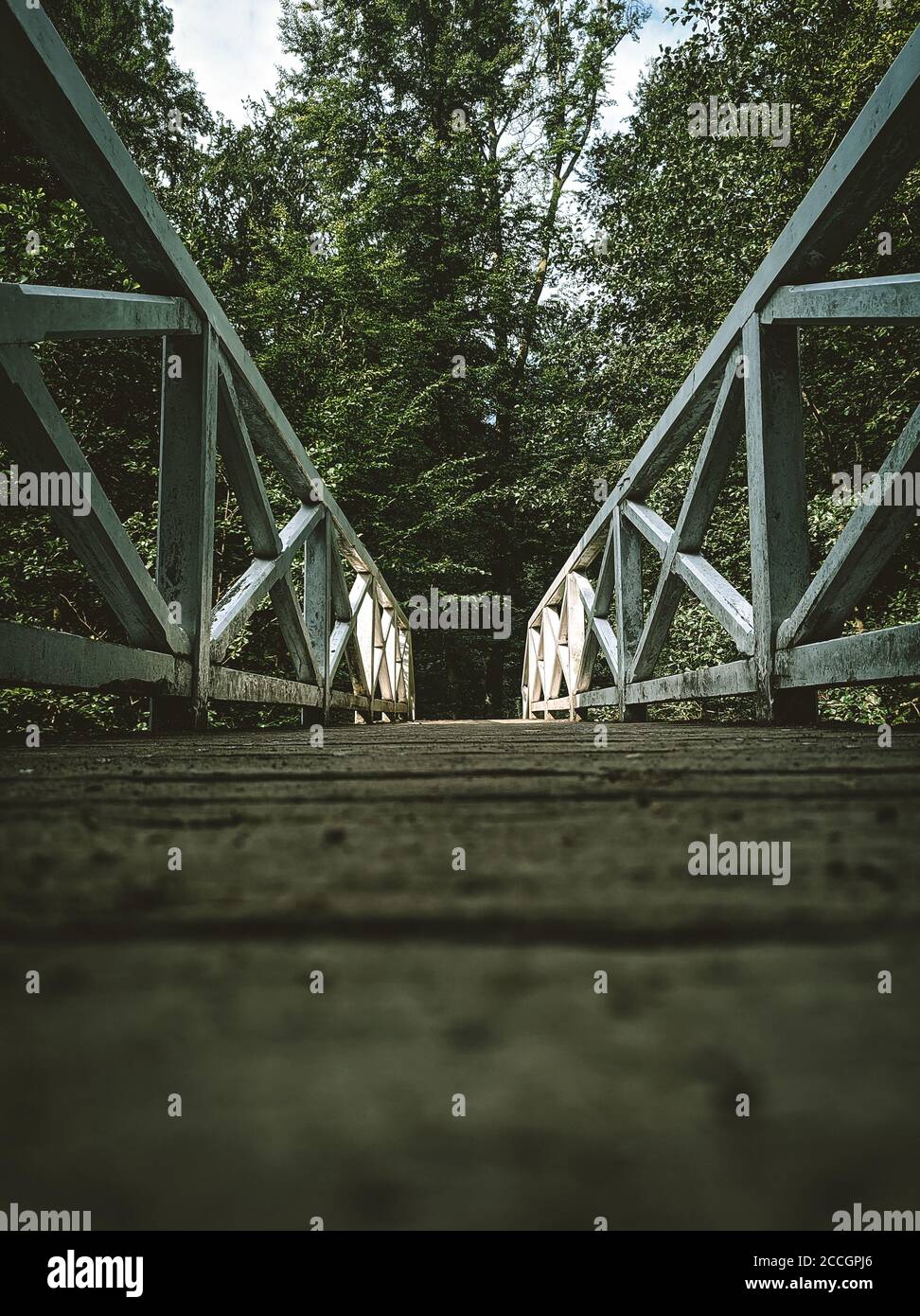 Wooden Bridge in a Forest Stock Photo - Alamy