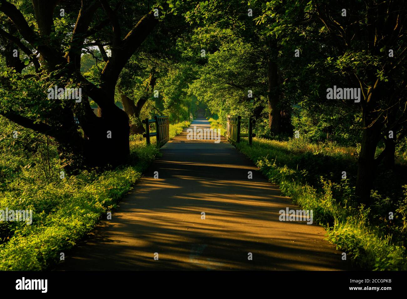 Light and shadow environment hi-res stock photography and images - Alamy