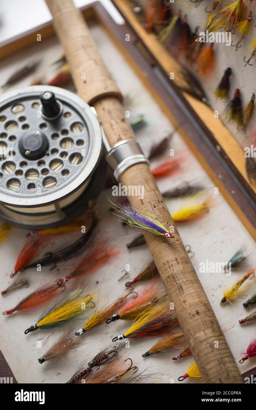 A collection of salmon flies in a fly box or reservoir, with a J.W ...