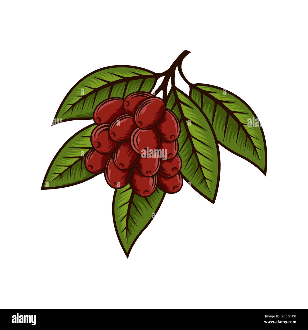 Coffee Bean Tree Logo