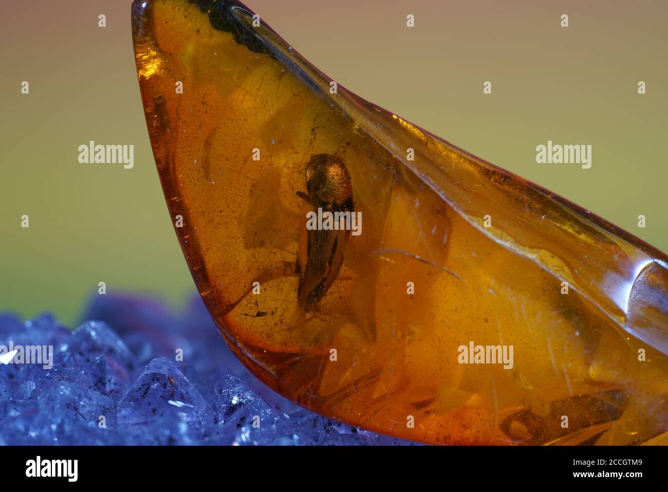 Amber mining hi-res stock photography and images - Alamy