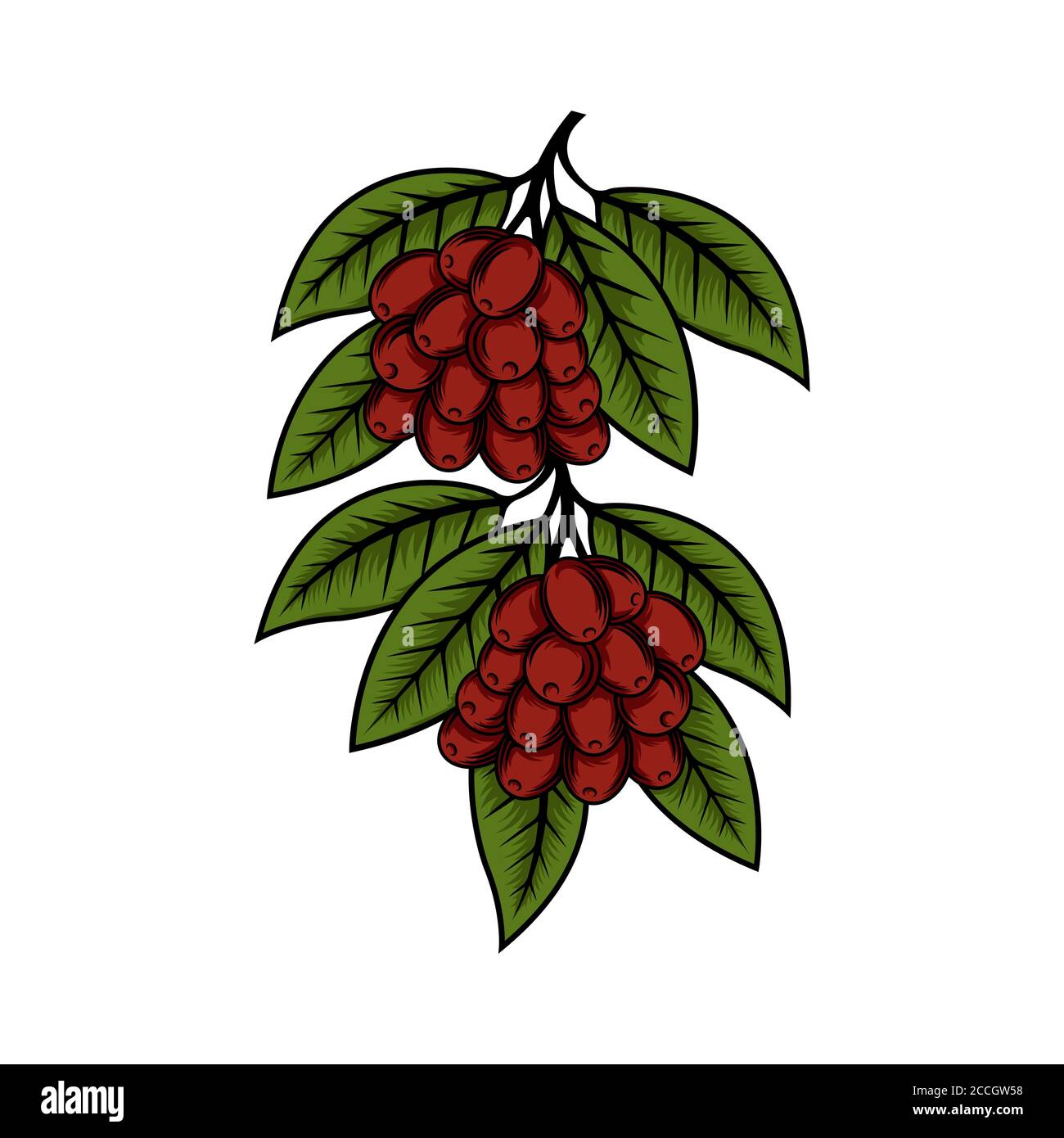 Coffee Tree Logo design vector illustration. Coffee Tree Logo vector ...