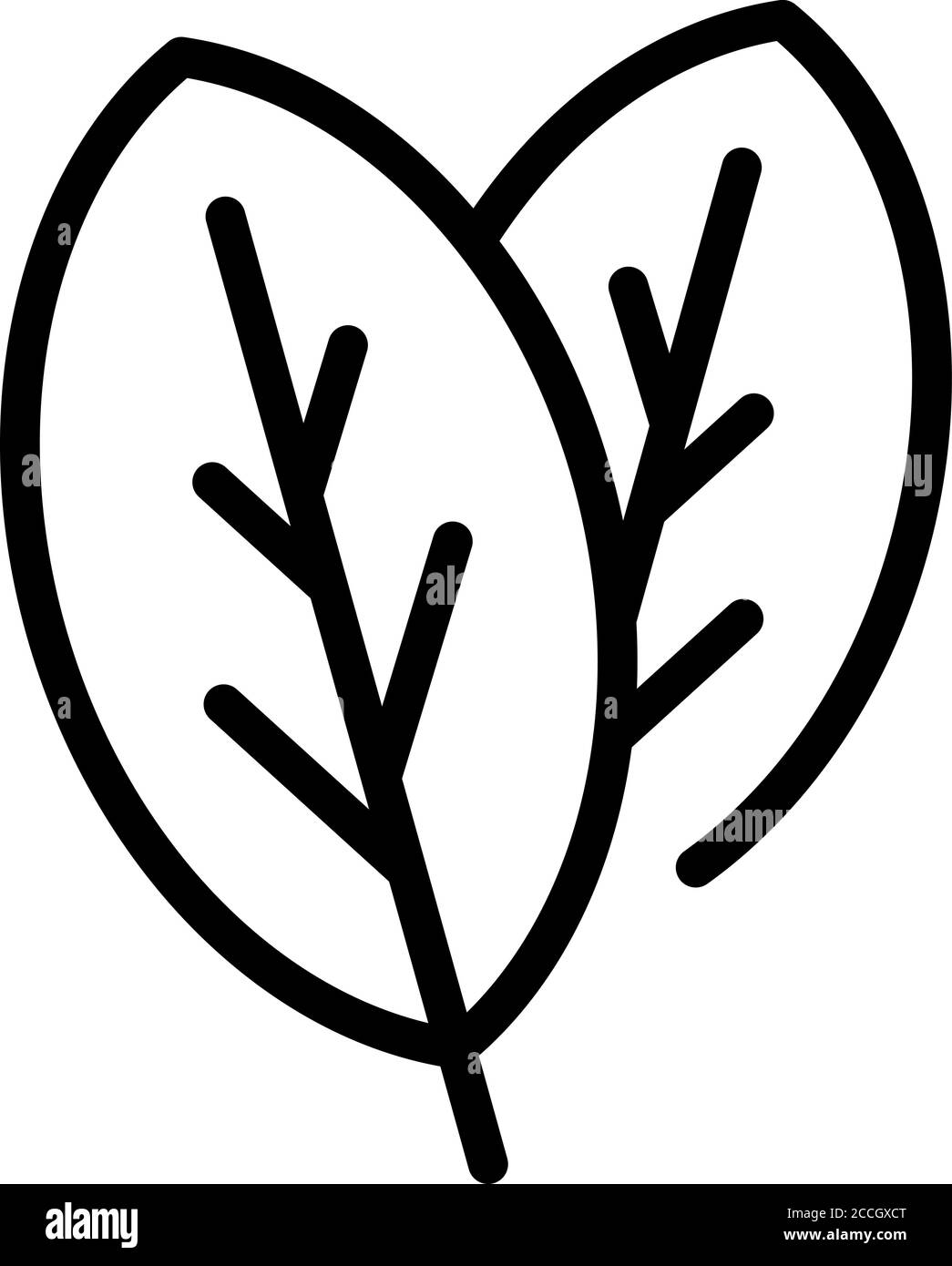 Croton plant Stock Vector Images - Alamy