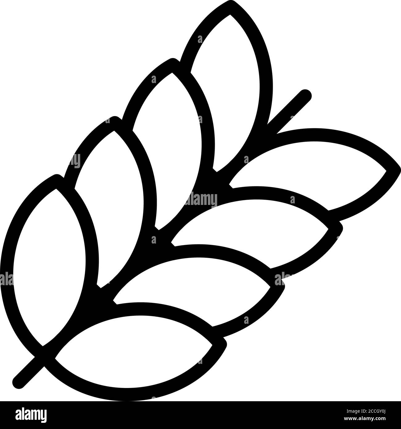 Whole grain icon, outline style Stock Vector Image & Art - Alamy