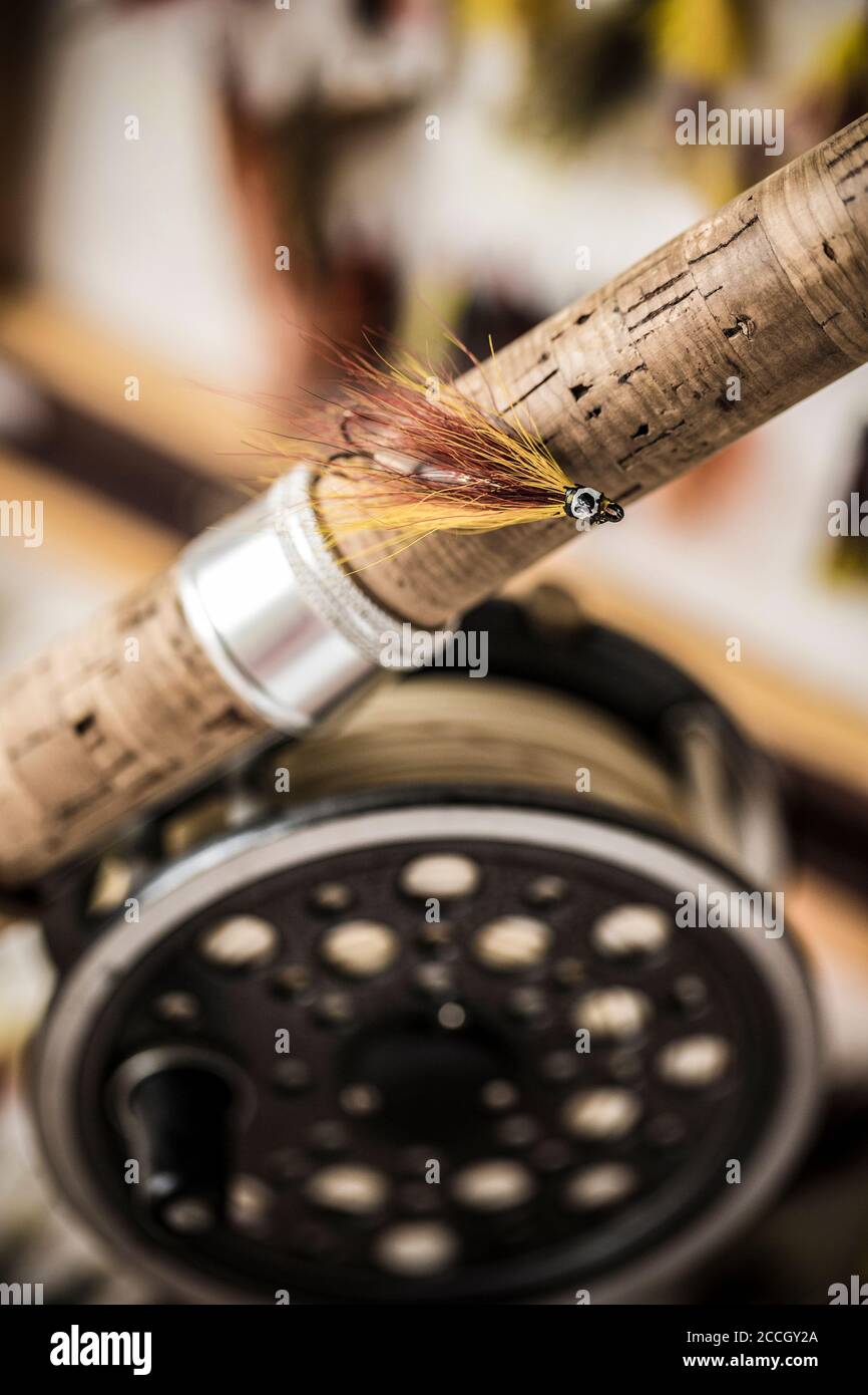 A collection of salmon flies in a fly box or reservoir, with a J.W ...