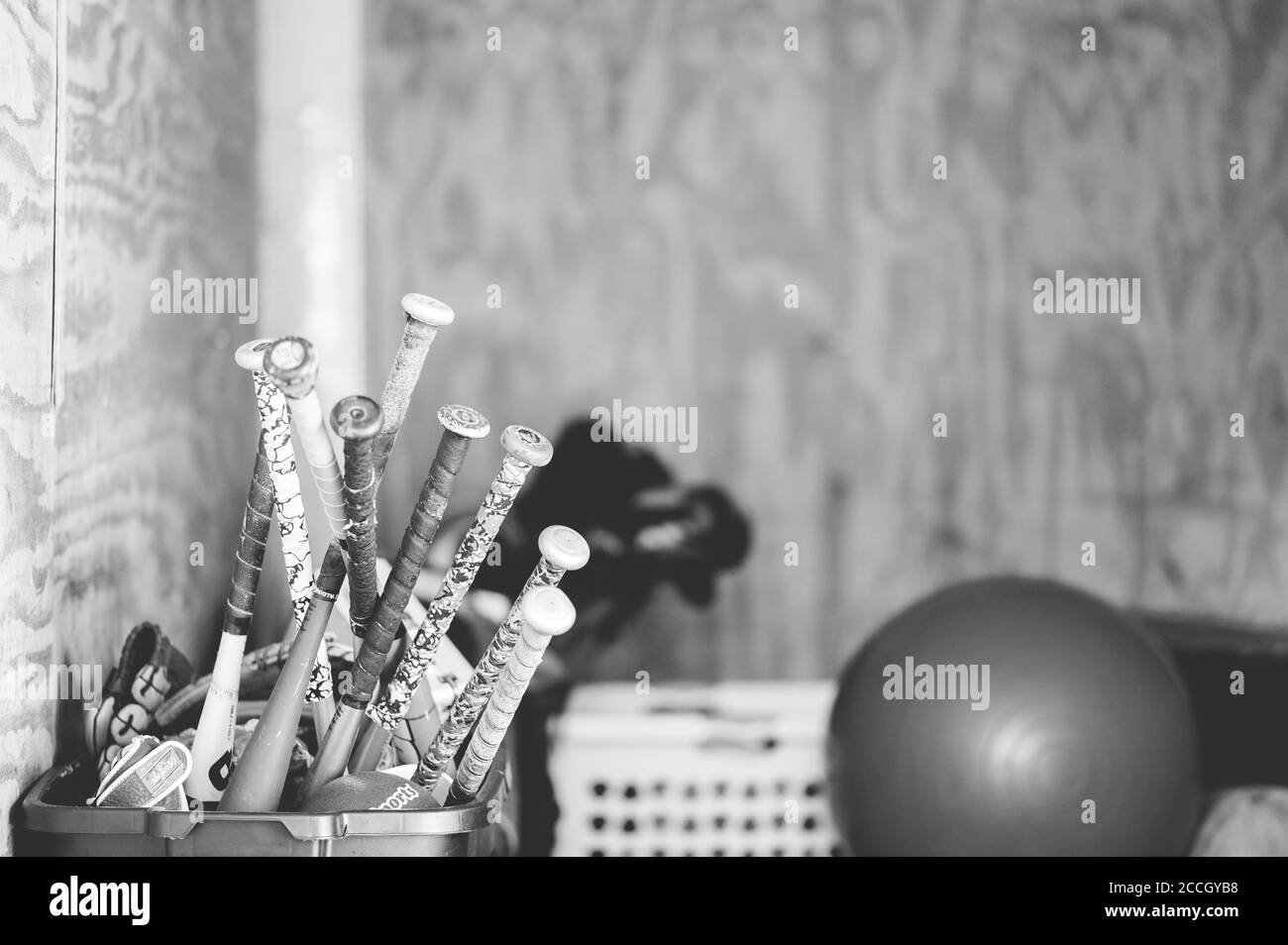 Grayscale shot of wooden baseball bats Stock Photo - Alamy