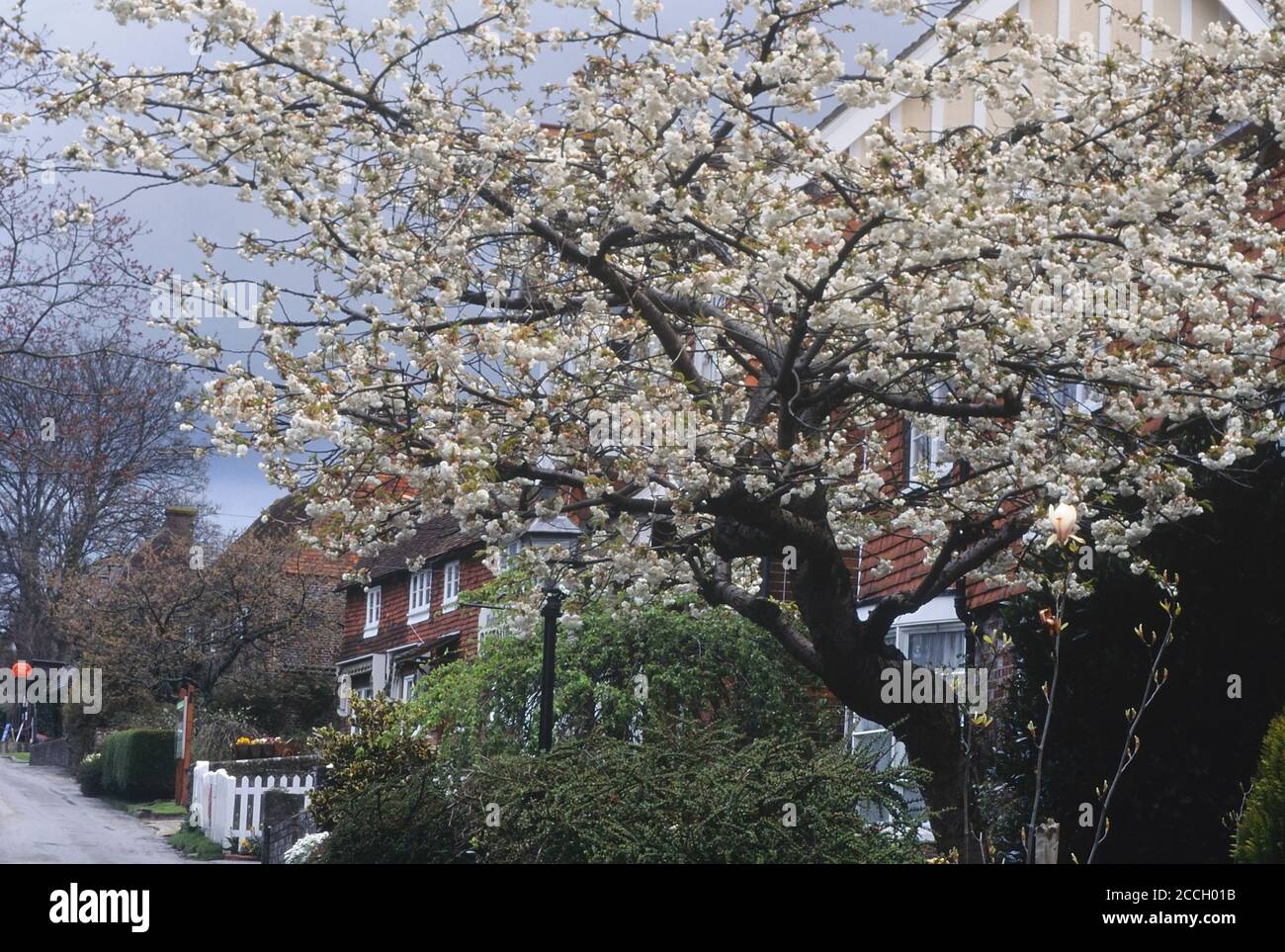 Springtime, Sedlescombe village, East Sussex, England, UK Stock Photo ...