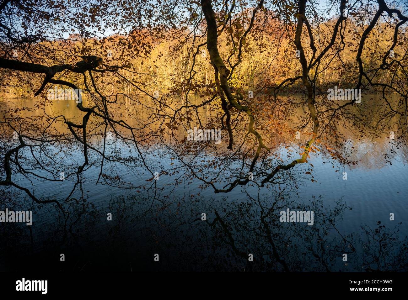 Beauty of colours hi-res stock photography and images - Alamy