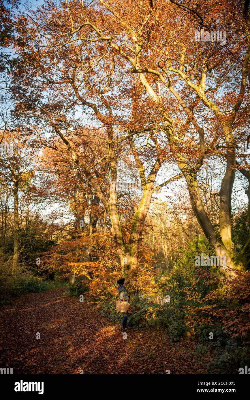 Healthy colours of the season hi-res stock photography and images - Alamy