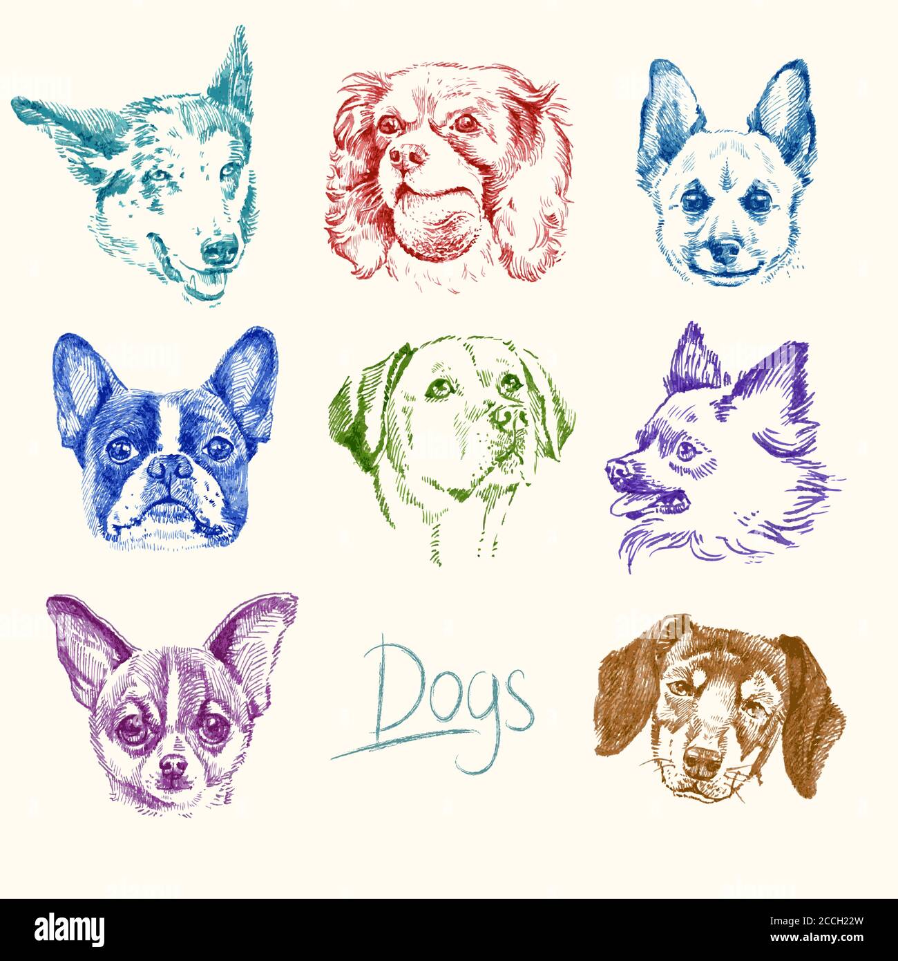 dogs - hand drawn set Stock Vector Image & Art - Alamy
