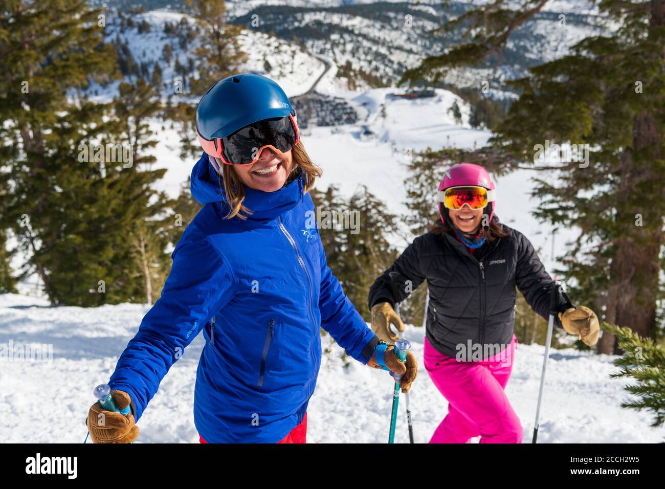 Tara Rose High Resolution Stock Photography and Images - Alamy