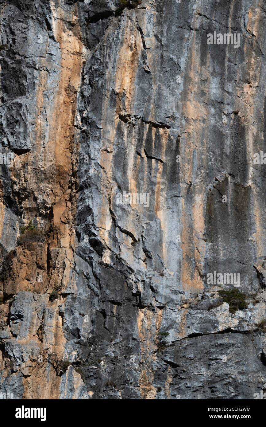 Close-up image of rock surface with heavy textured pattern and two tone ...