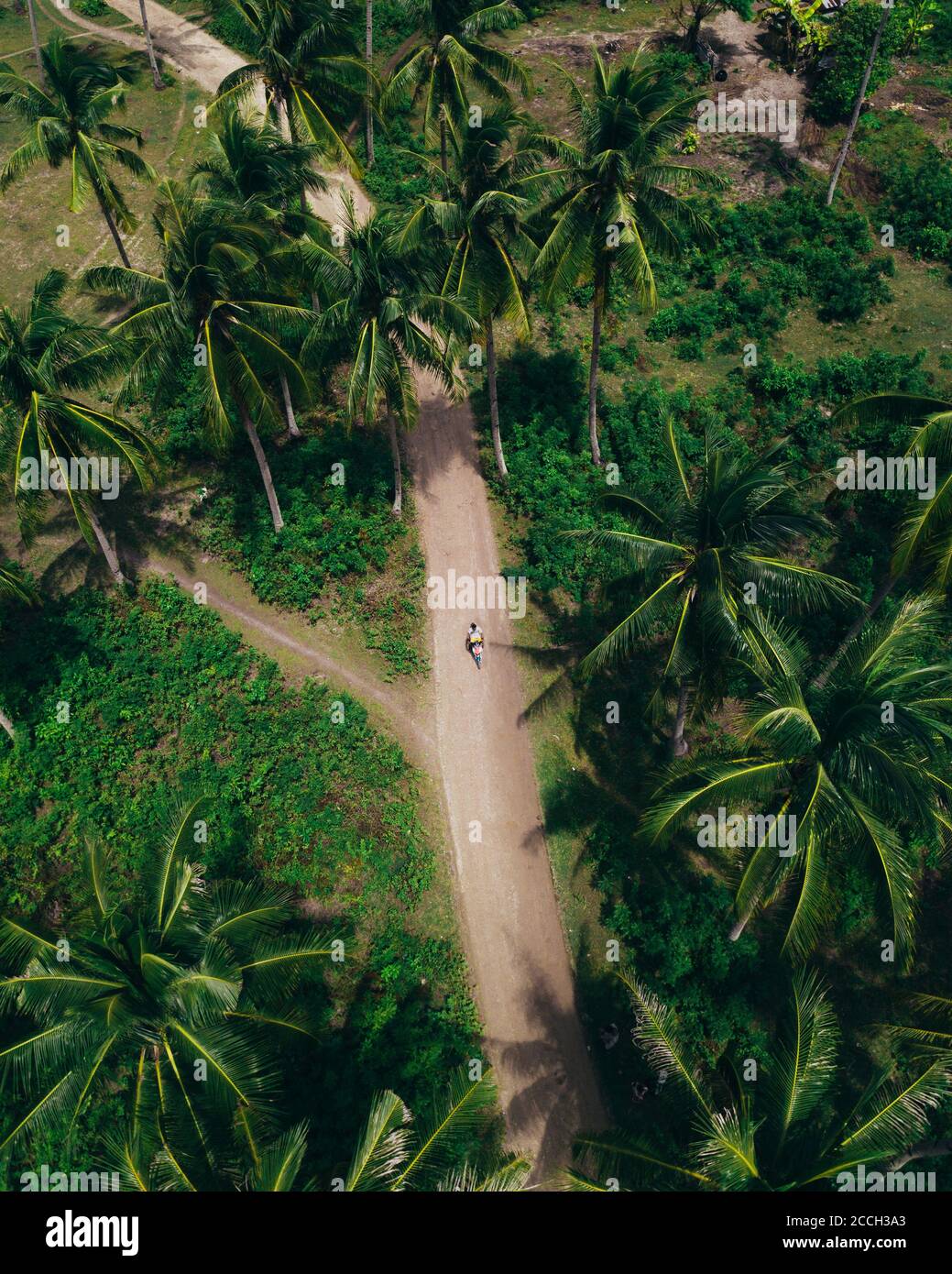 Aerial shot of a long road surrounded by greens and trees Stock Photo ...