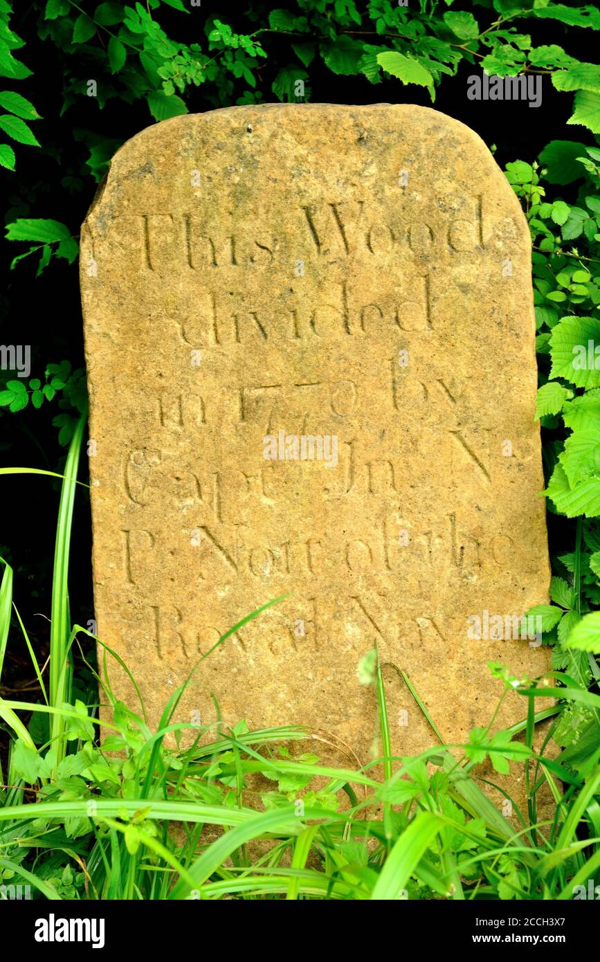 Notts Stone in Ravensroost Wood nature reserve, Wiltshire Stock Photo ...