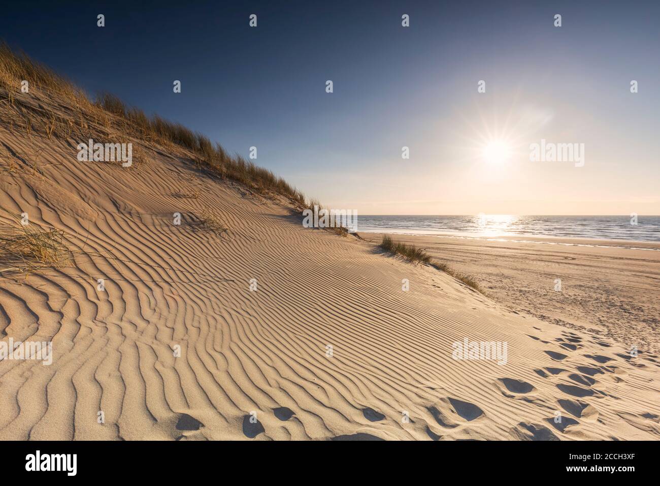 Beautiful clear golden sunset hi-res stock photography and images - Alamy