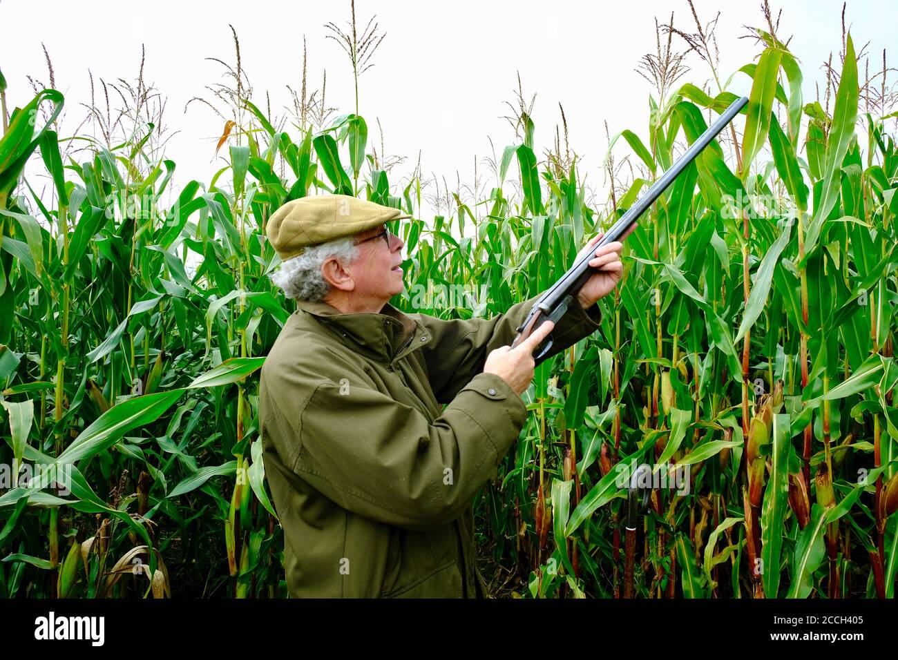 Game Season, Shooting, Shooting Sports, Gentleman Shooting, Traditional ...