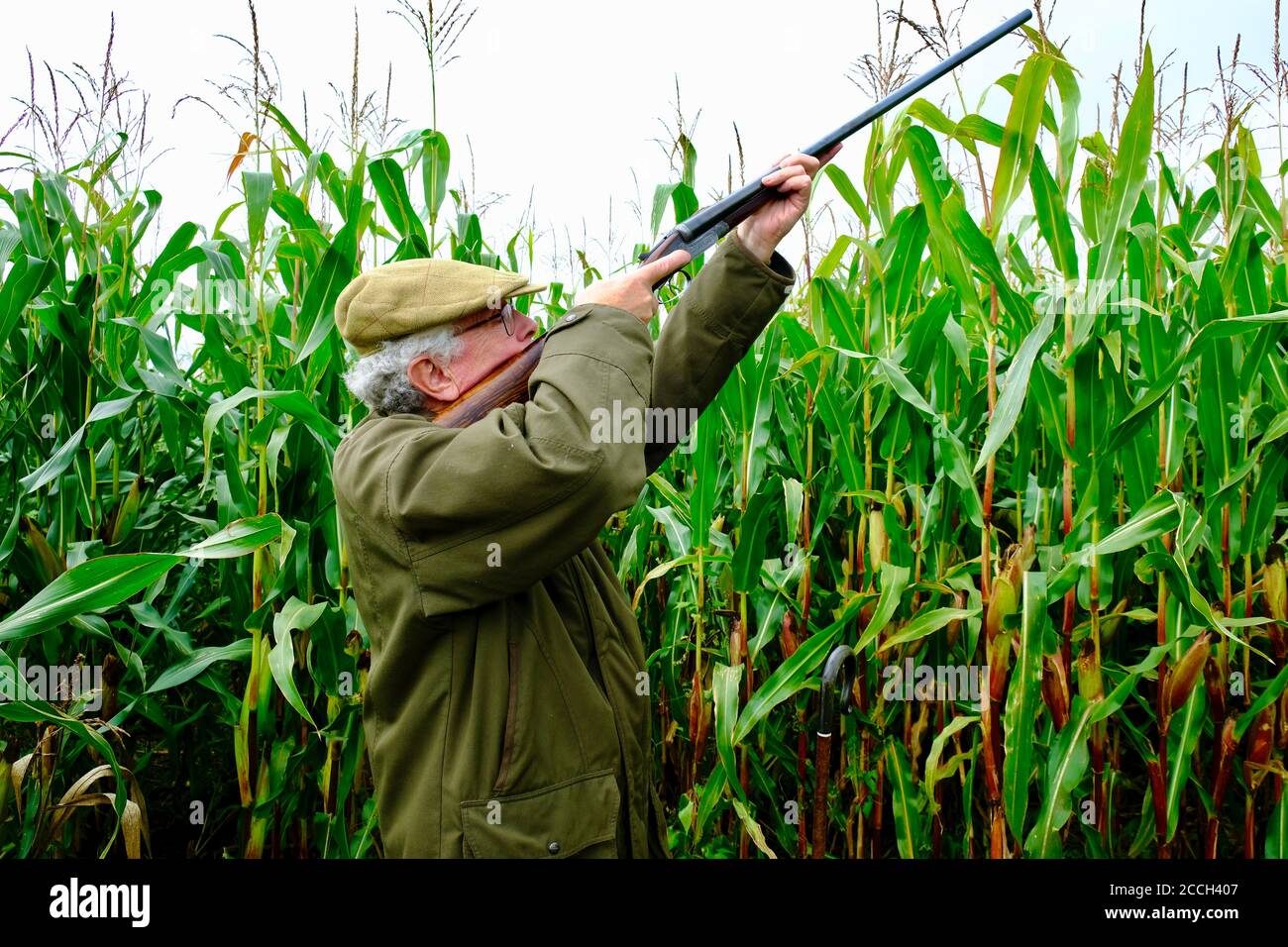 Game Season, Shooting, Shooting Sports, Gentleman Shooting, Traditional ...