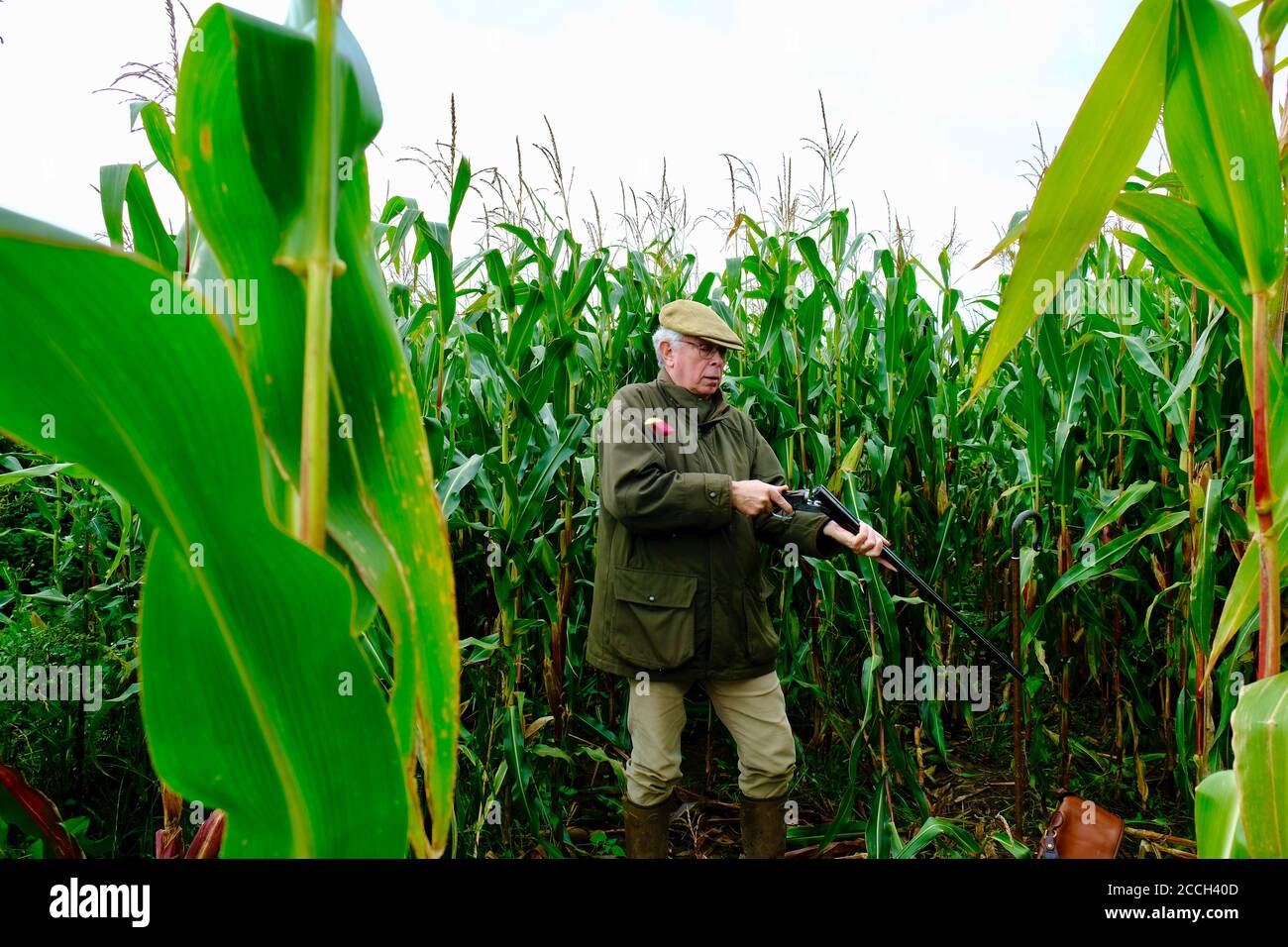 Game Season, Shooting, Shooting Sports, Gentleman Shooting, Traditional ...