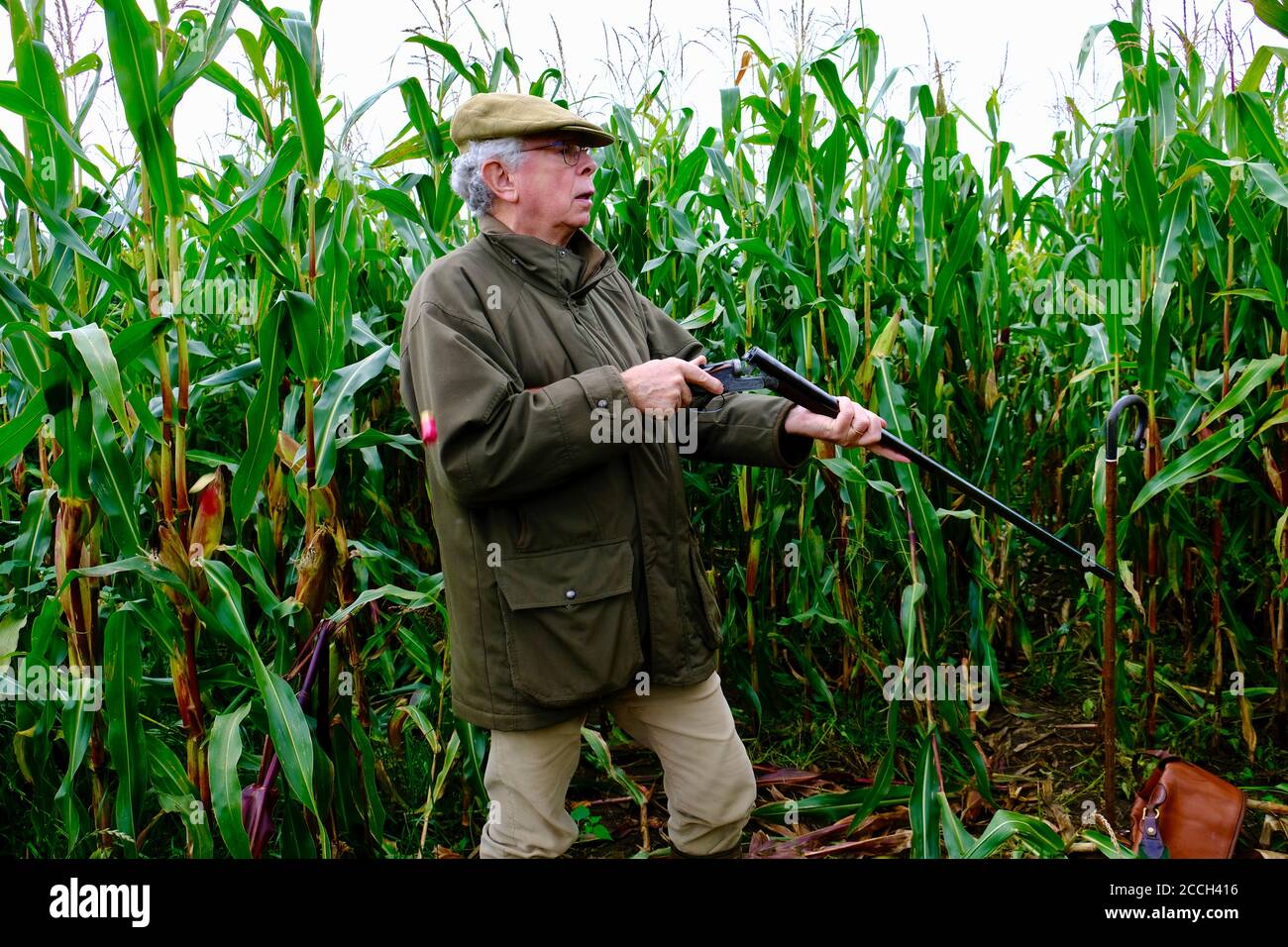 Game Season, Shooting, Shooting Sports, Gentleman Shooting, Traditional ...