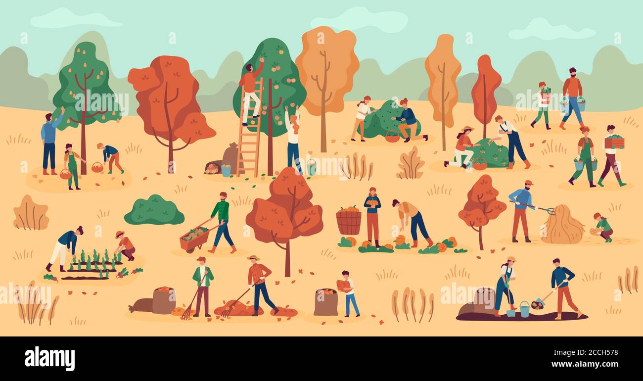 Harvest autumn garden Stock Vector Images - Alamy