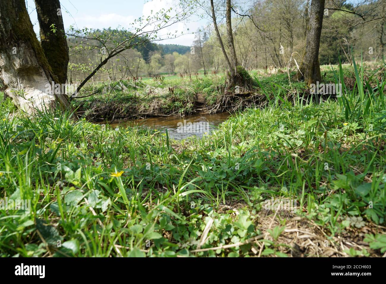 Surrounded by plants and grass hi-res stock photography and images - Alamy