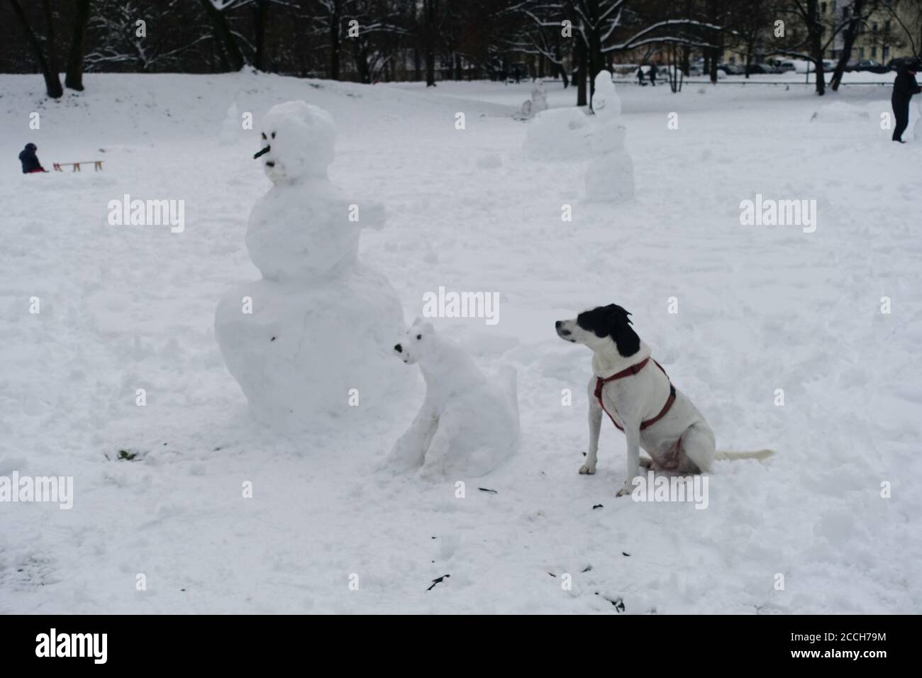 snowman, snowdog and real dog Stock Photo - Alamy