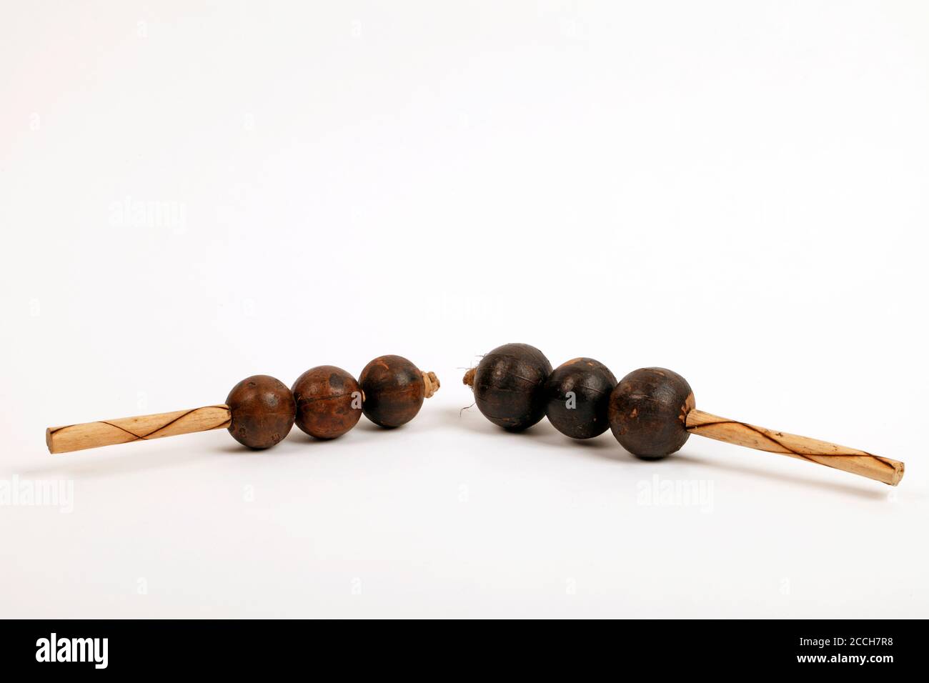 Seed pod shaker hi-res stock photography and images - Alamy