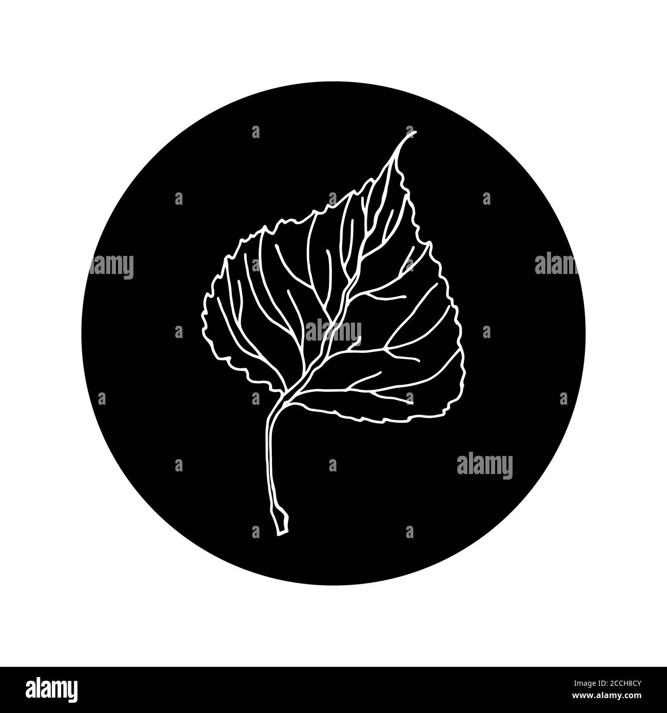Aspen leaf editable icon in black rounded shape. Sketch hand drawn ...