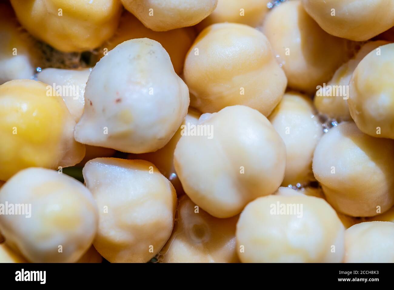 Chickpea plant root hi-res stock photography and images - Alamy